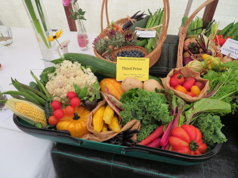 Bream Gardening Society – Flower, Fruit and Vegetable growing in the ...