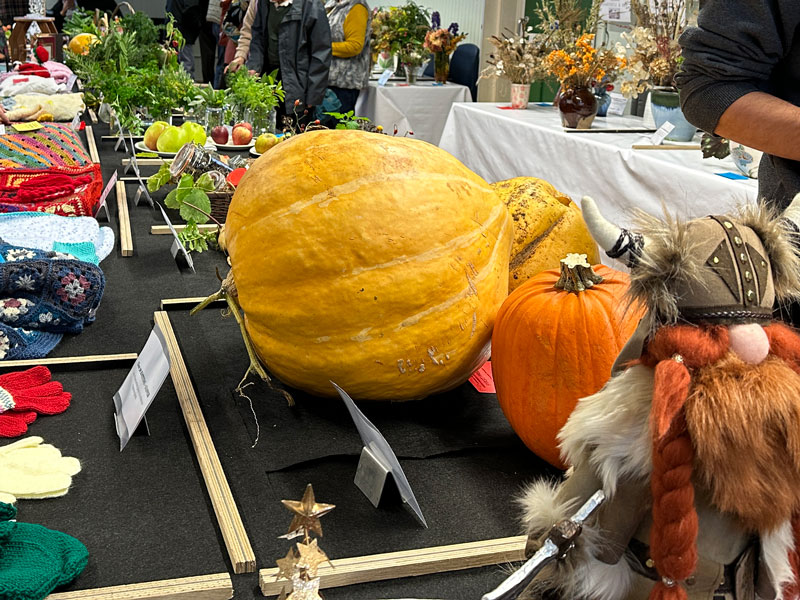 Bream Autumn Show – Bream Gardening Society