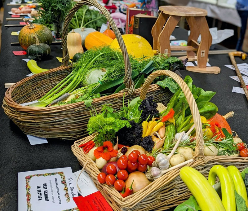 Bream Autumn Show – Bream Gardening Society